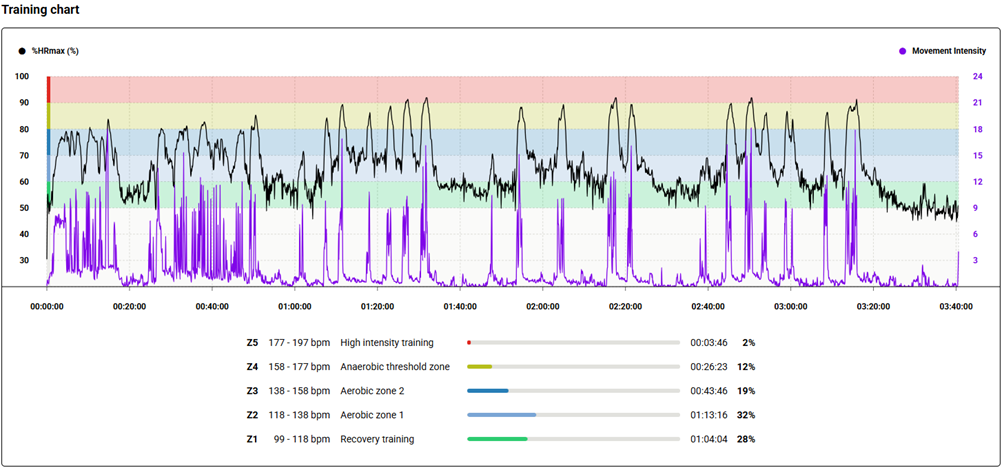 Reporting Tool: Example Reports – Firstbeat Sports Help Center